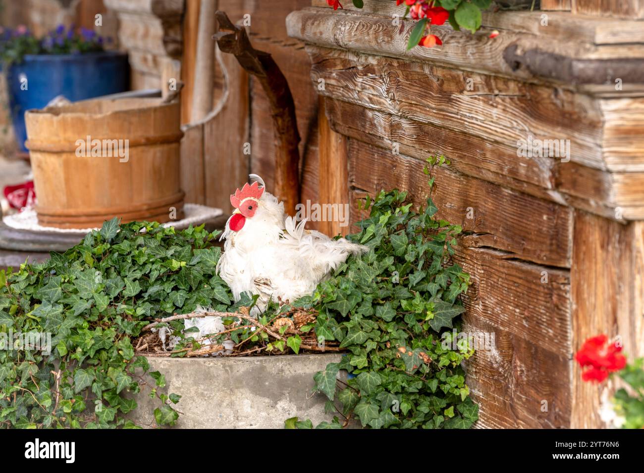 Ancient farmhouse near Eggiwil in the canton of Bern. Switzerland ...