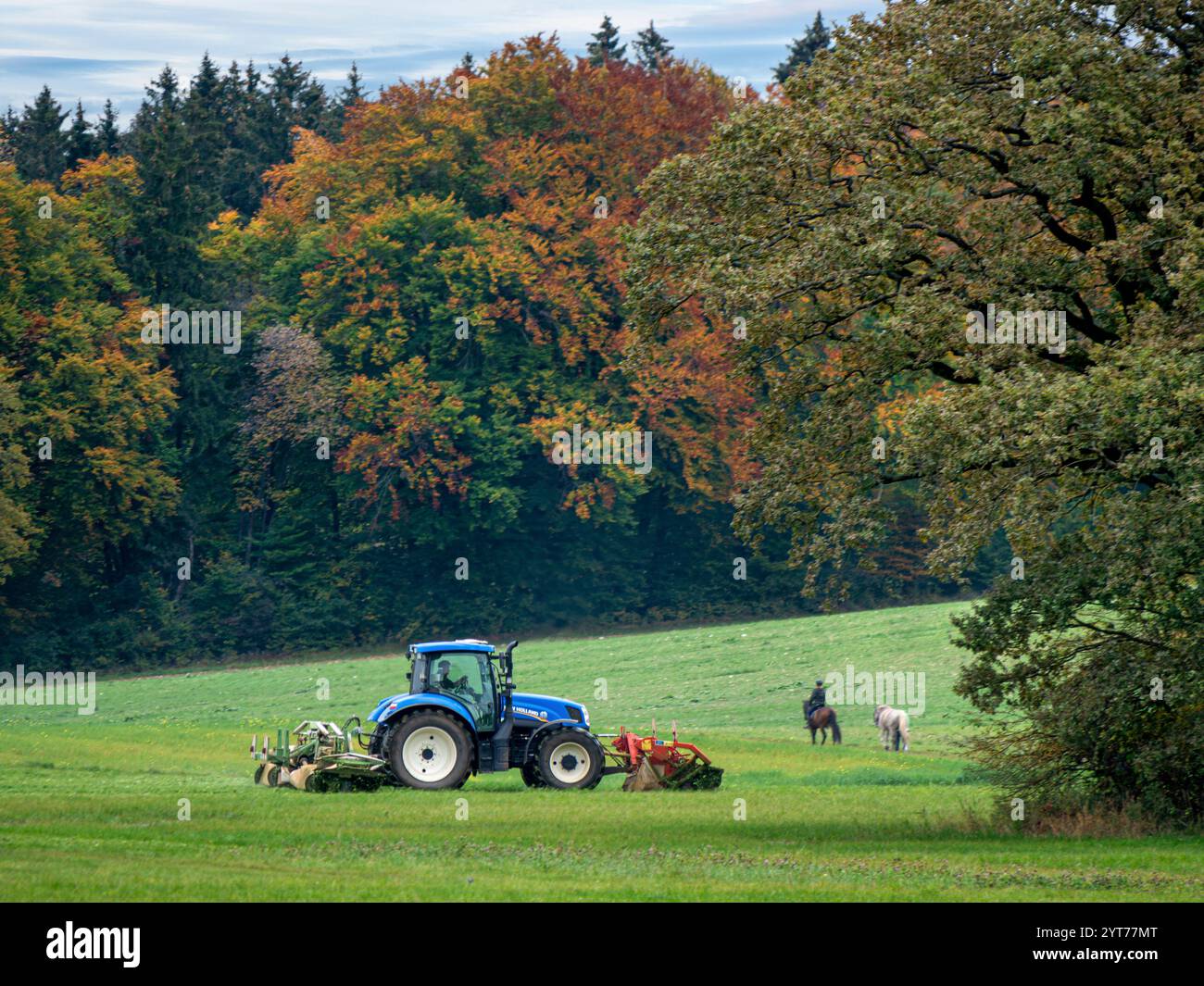 Tractor mowing a meadow in the fall, fall mowing, Bavaria, Germany ...