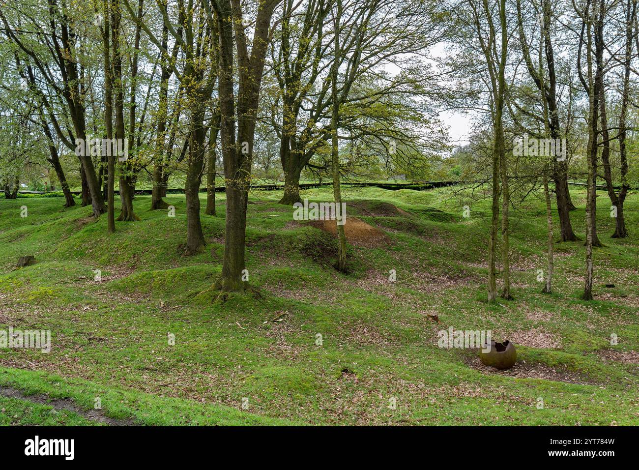 Ypres-Zillebeke, Hill 60 A crater landscape from the First World War ...