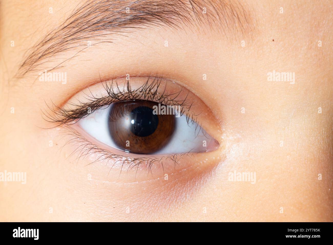 Dark brown eye of a young child showing eyelashes, eyebrow, and ...