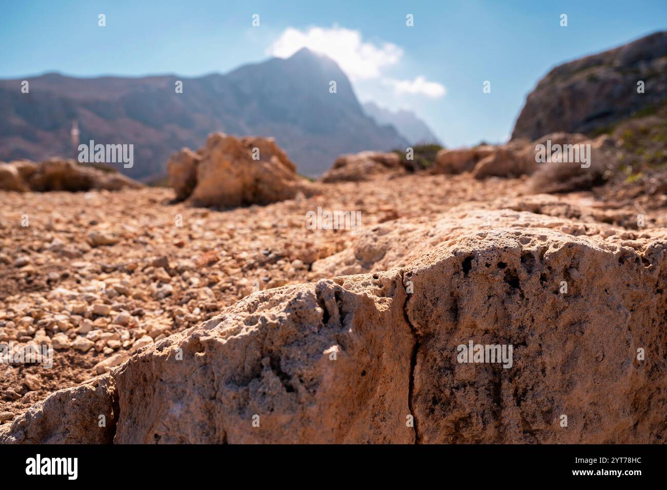 Cracked rough rock surface from limestone and coral in foreground ...