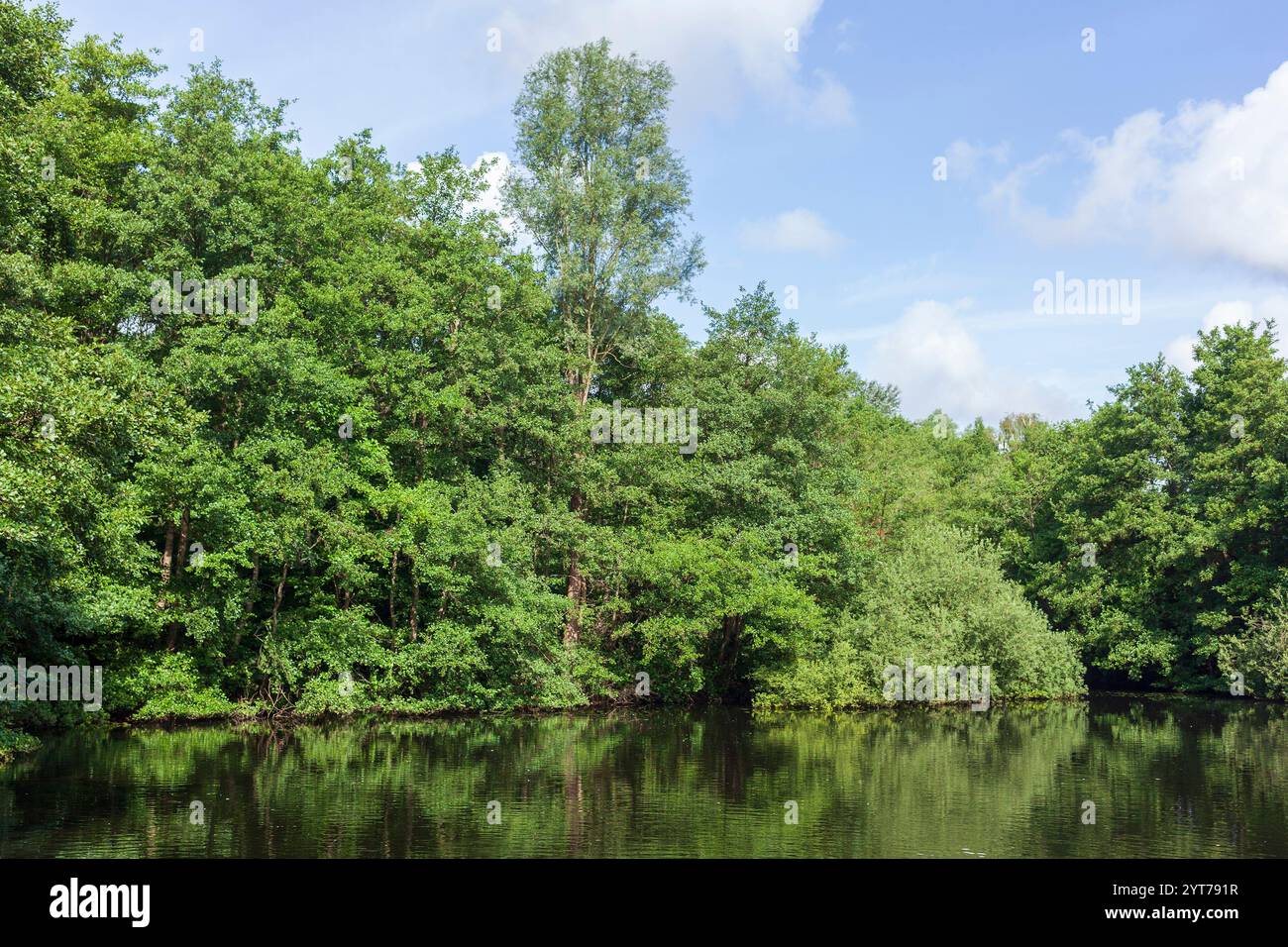 Lake with forest, Stuhr, Diepholz district, Lower Saxony, Germany ...