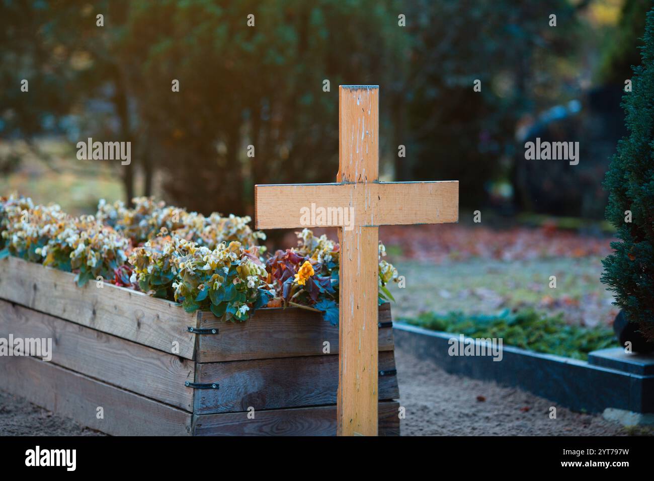 Wooden cross in cemetery hi-res stock photography and images - Alamy