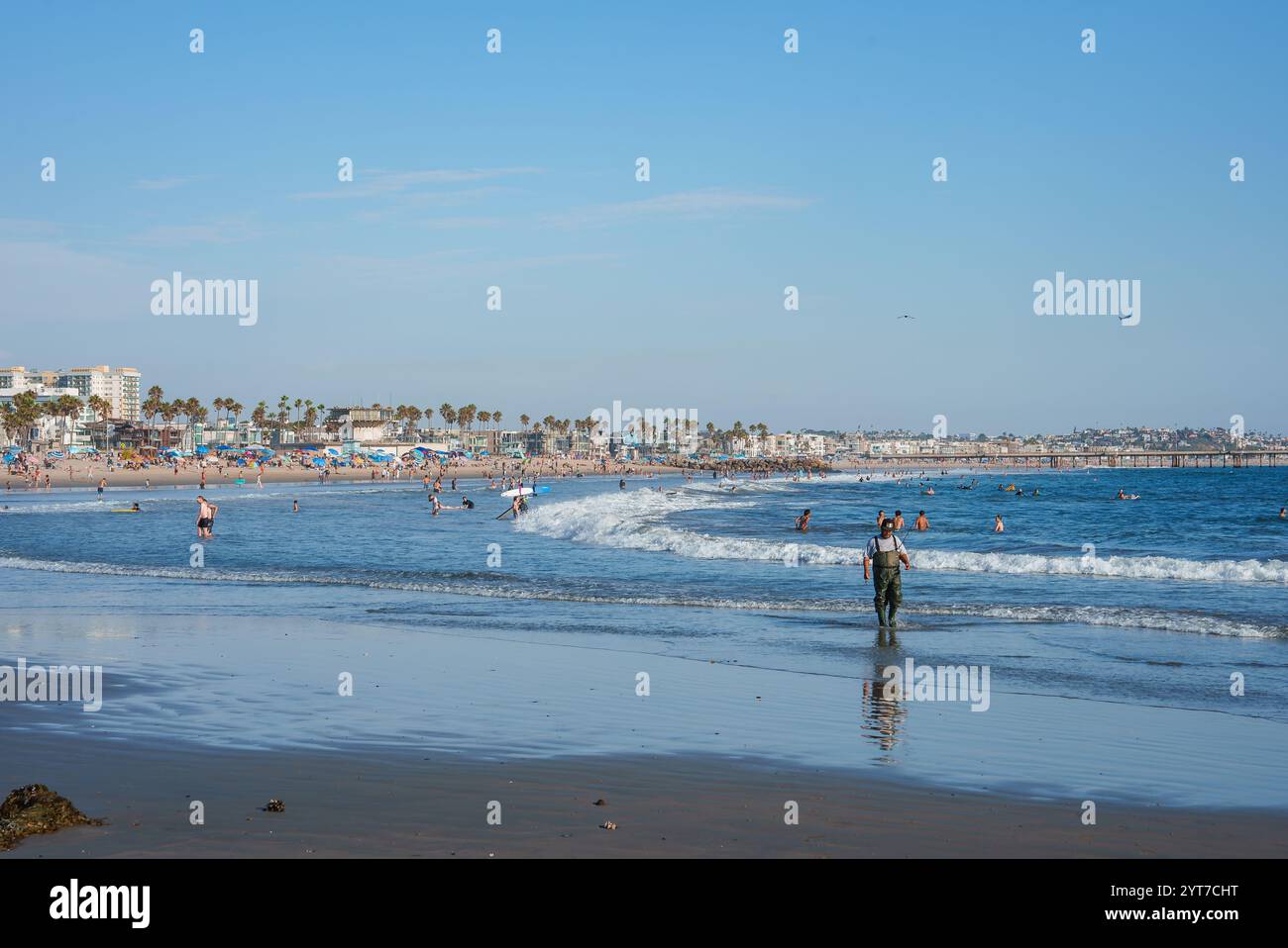 Lively Scene at Venice Beach with Pier and Palm Trees Stock Photo - Alamy