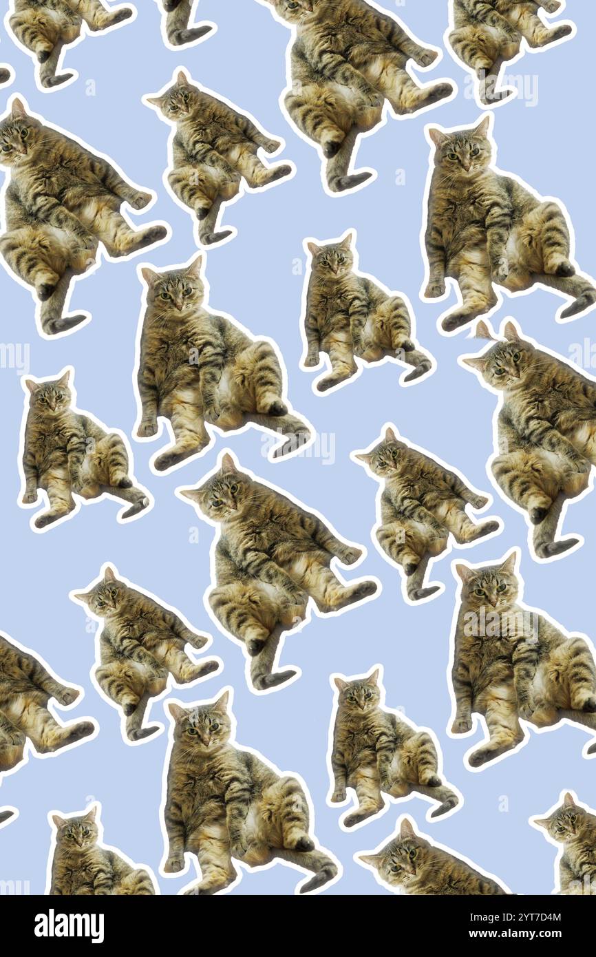 collage cat Funny cat's heads on blue background. Seamless repeating ...