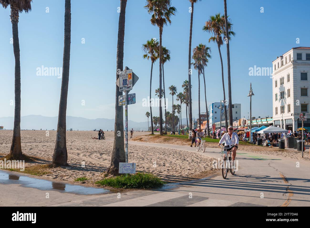 Venice Beach in Los Angeles features tall palm trees, a busy path with ...