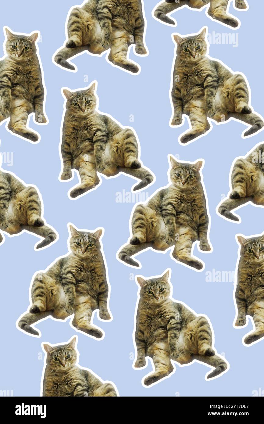 collage cat Funny cat's heads on blue background. Seamless repeating ...