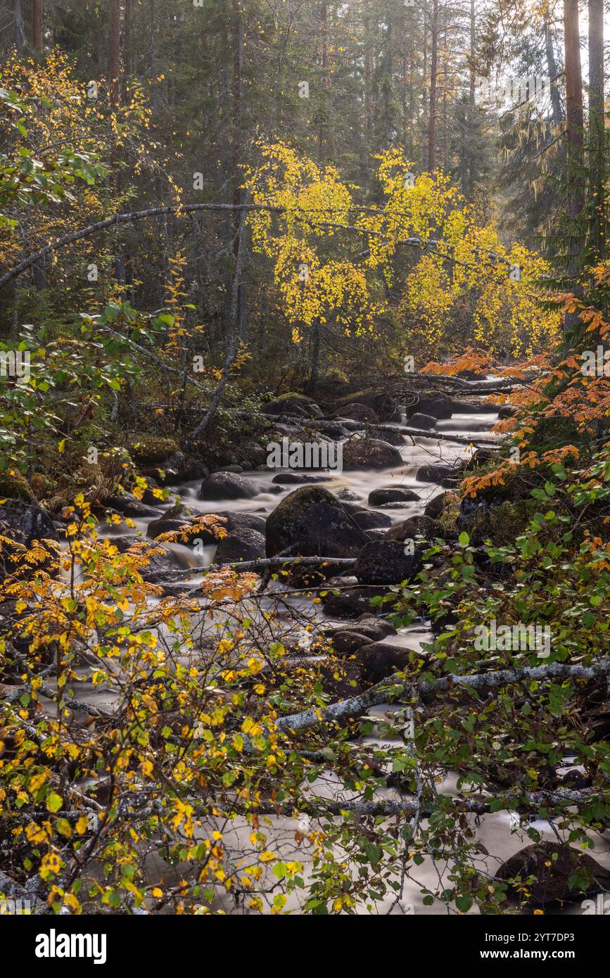 Sweden forest mountain hi-res stock photography and images - Alamy