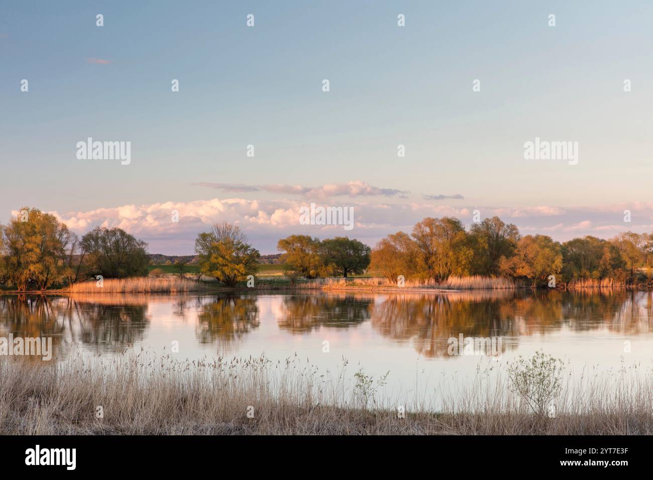 Unesco biosphere reserve lower saxon elbe valley hi-res stock ...