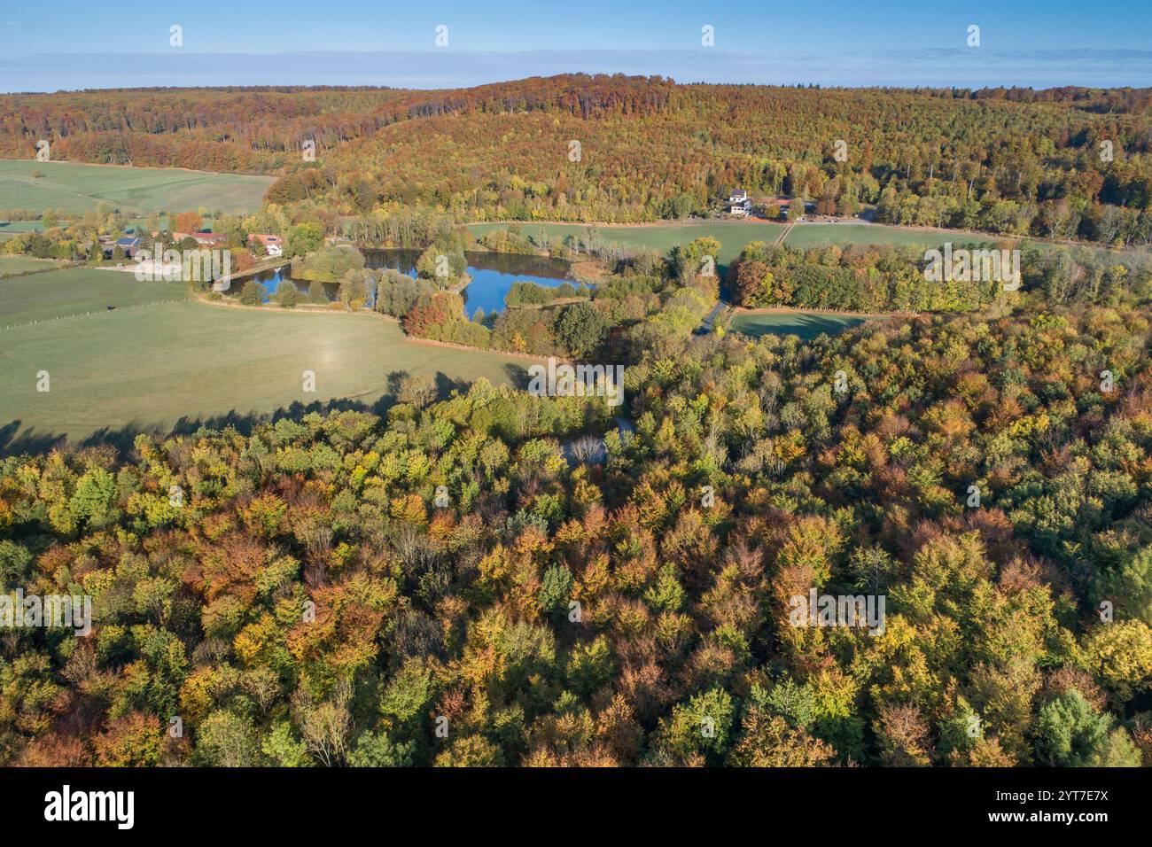 Autumn forest from above Stock Photo - Alamy
