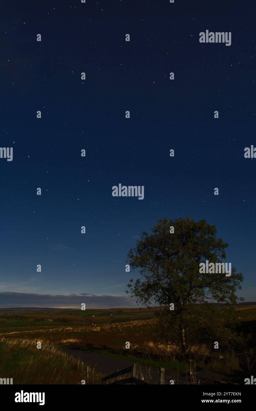 Hadrian's Wall (Caw Gap), Northumberland, UK - looking north under a ...
