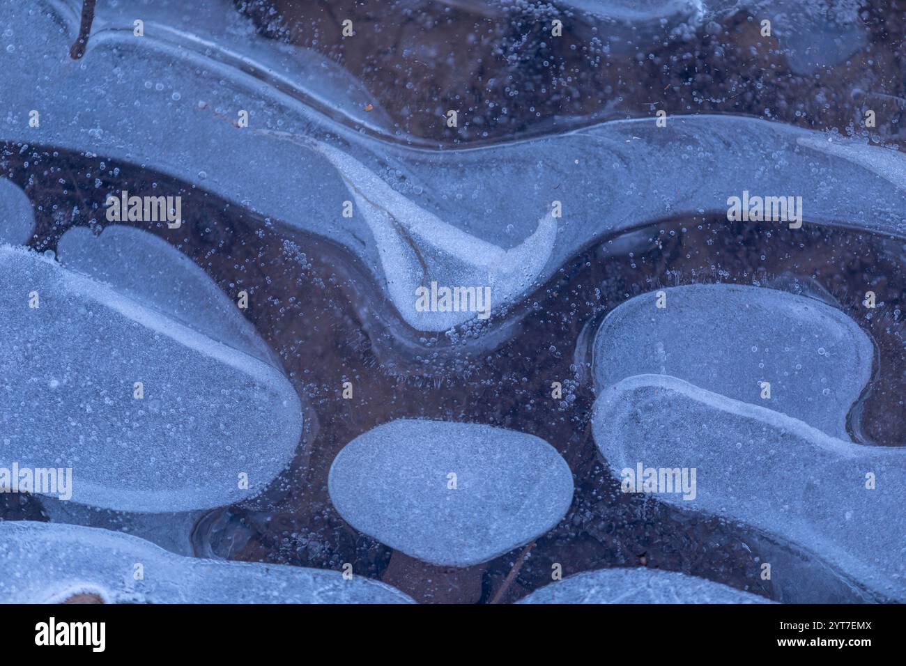 Frozen water surface in the UNESCO Elbe River Landscape Biosphere ...
