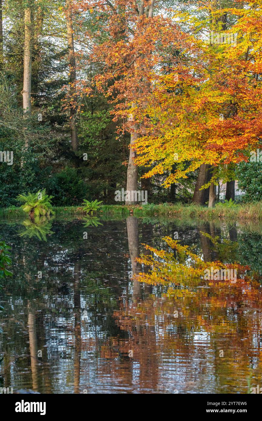 Aschau ponds hi-res stock photography and images - Alamy