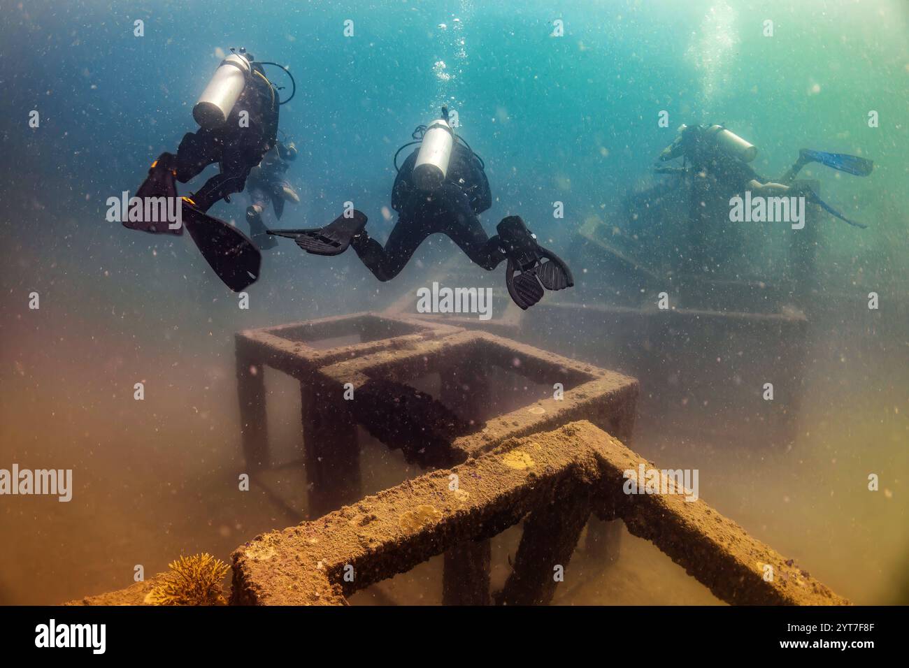 Three scuba divers are swimming over new concrete structures placed ...