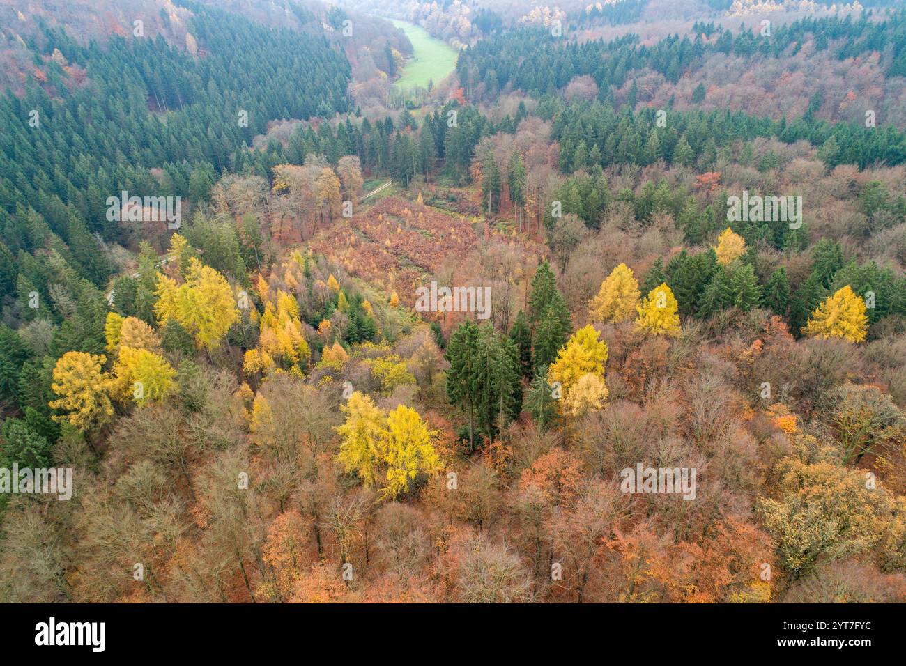 Delliehausen hi-res stock photography and images - Alamy