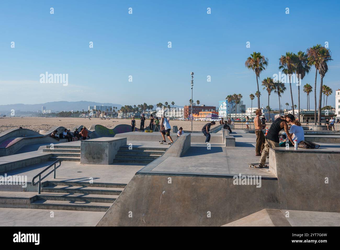 Skaters engage in tricks at Venice Beach Skatepark, Los Angeles. Palm ...