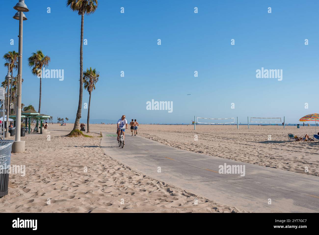 Cyclist on Paved Path at Venice Beach with Palm Trees and Beachgoers ...