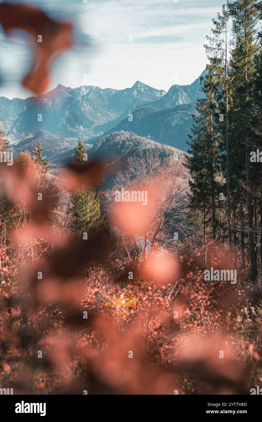 Birds eye view red orange hi-res stock photography and images - Alamy