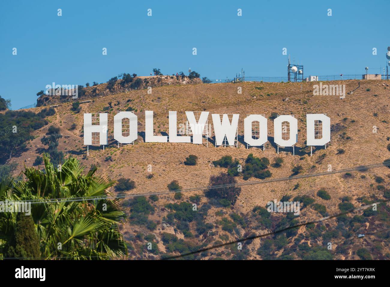 Iconic Hollywood Sign with Palm Trees in Los Angeles, California Stock ...
