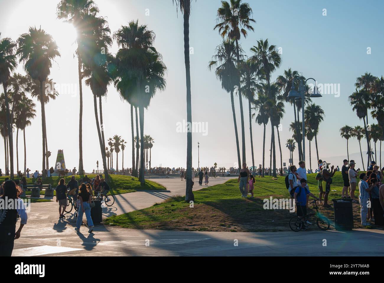 Sunset at Venice Beach with Palm Trees and Crowds in Los Angeles Stock ...