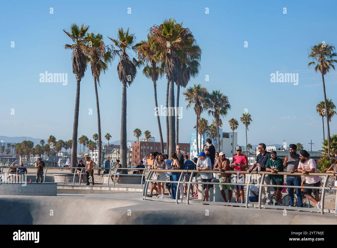 Venice Beach Skate Park with Palm Trees and Observers in Los Angeles ...