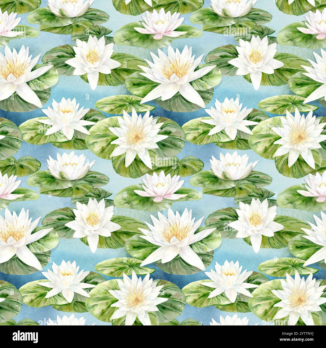 Seamless pattern White Lilies. Watercolor illustration of Water Lilies ...