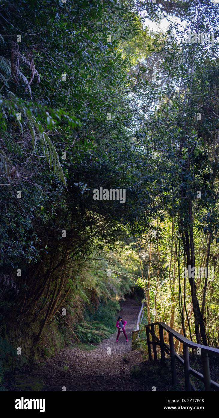 Details on native flora from the sorroundings of the Aguas Calientes ...