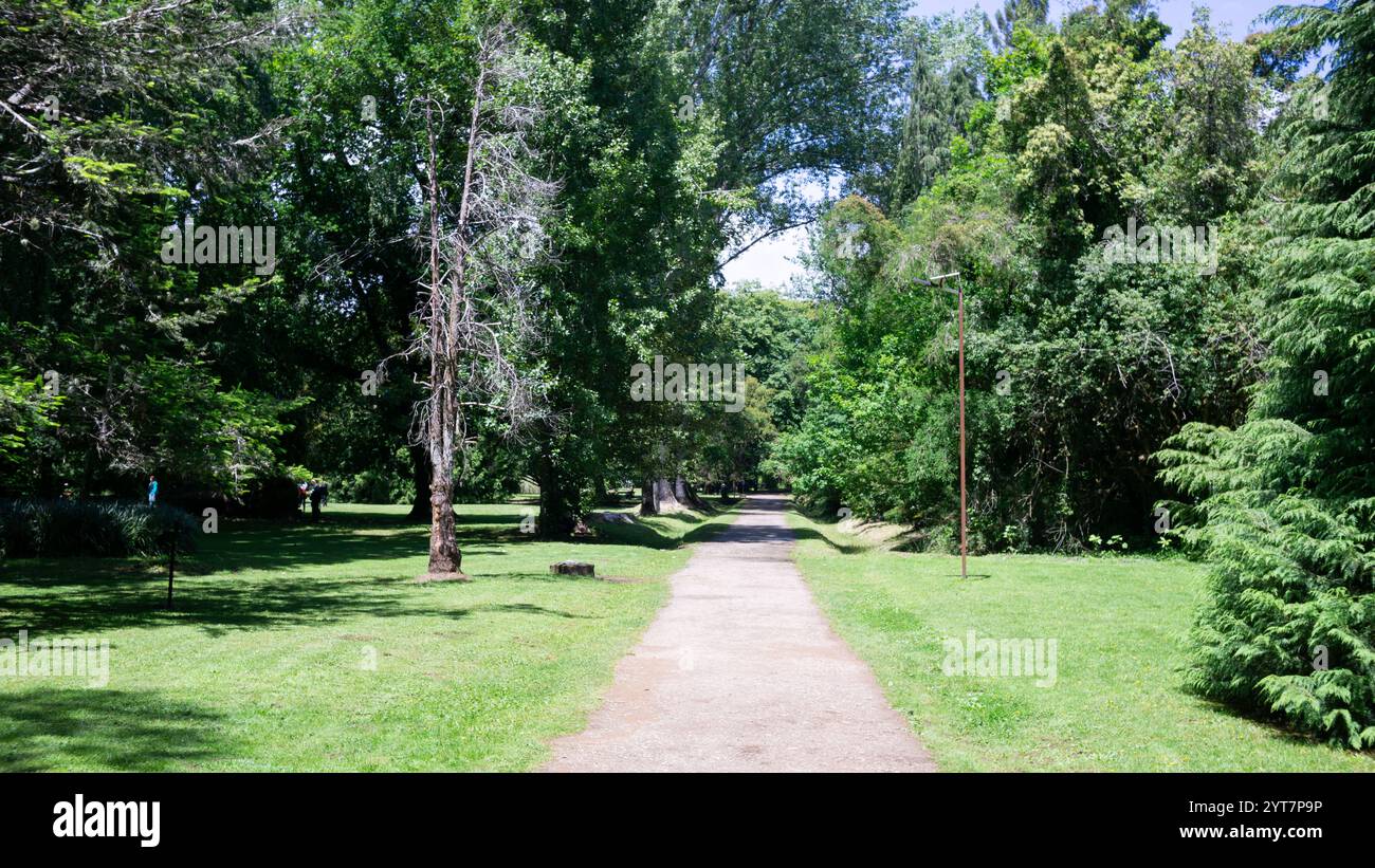 Native trees in the Botanical garden at the Austral University ...