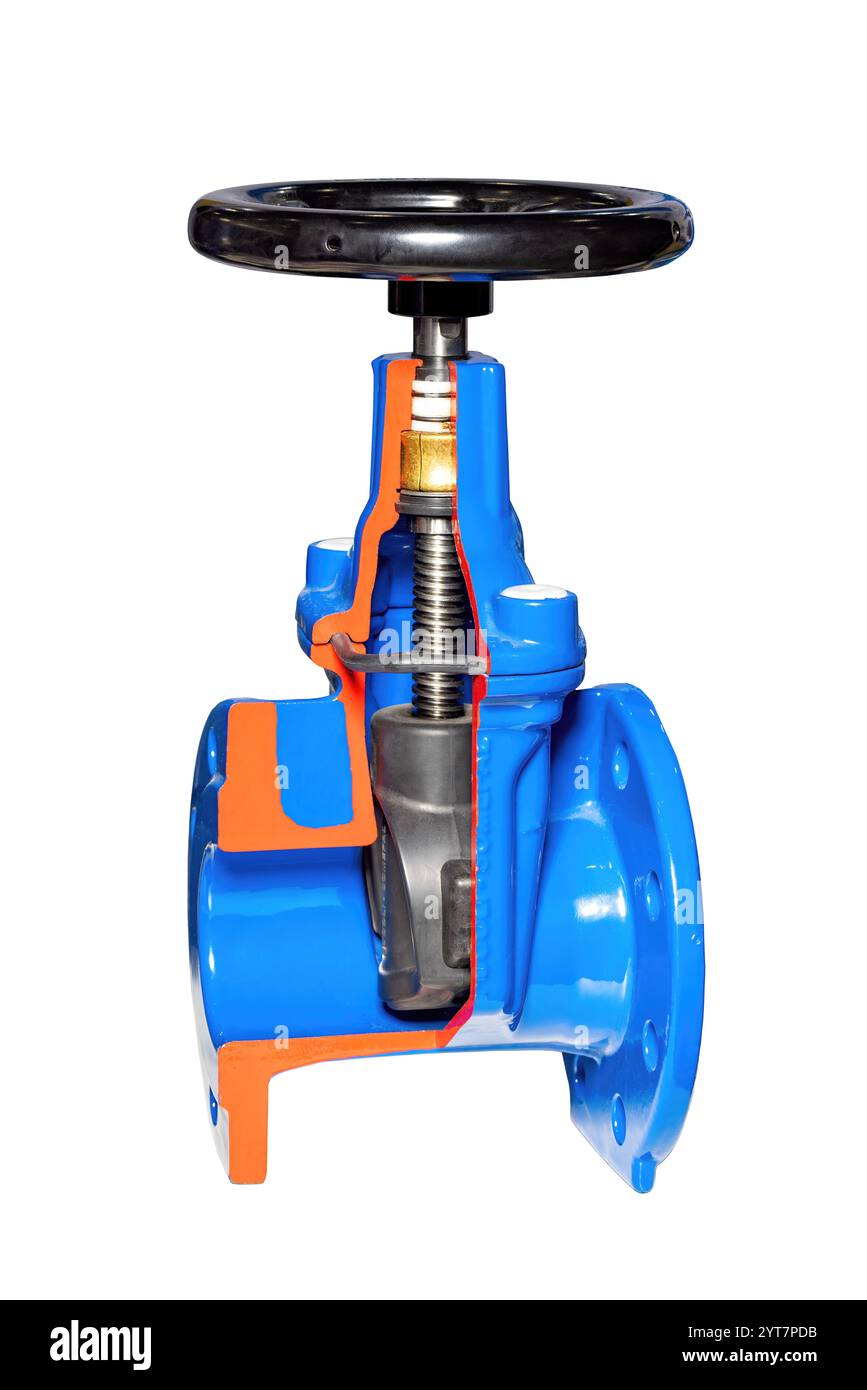 A detailed depiction of a cross-sectioned valve that illustrates its ...