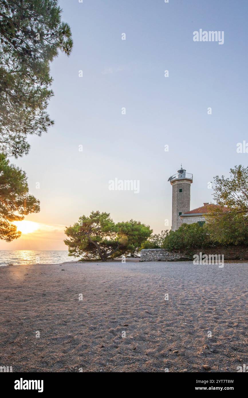 Beautiful view landscape pine hi-res stock photography and images - Alamy