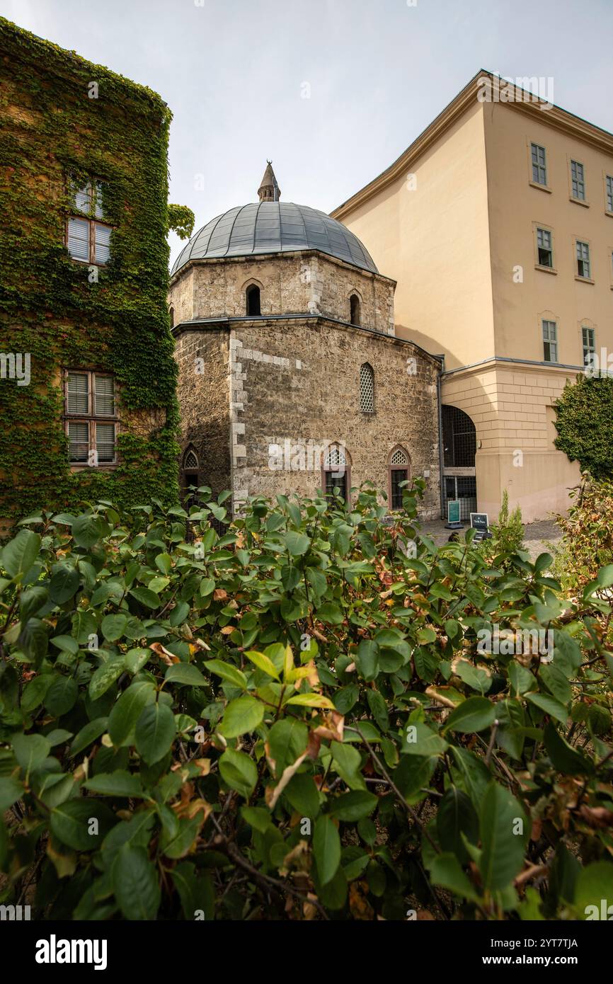 Old, beautifully decorated buildings in a historic old town. Picture ...
