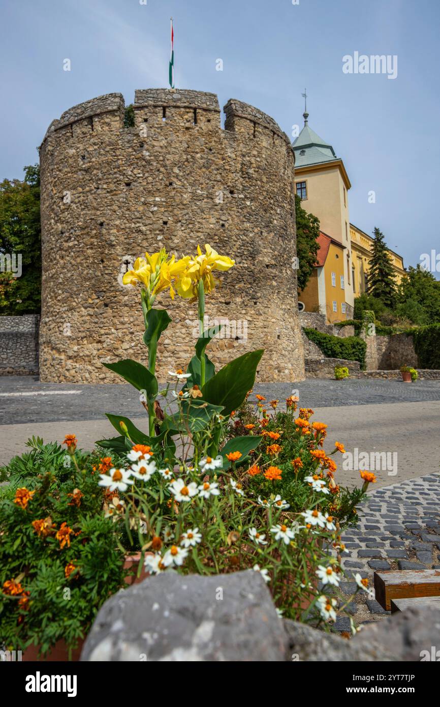Old, beautifully decorated buildings in a historic old town. Picture ...