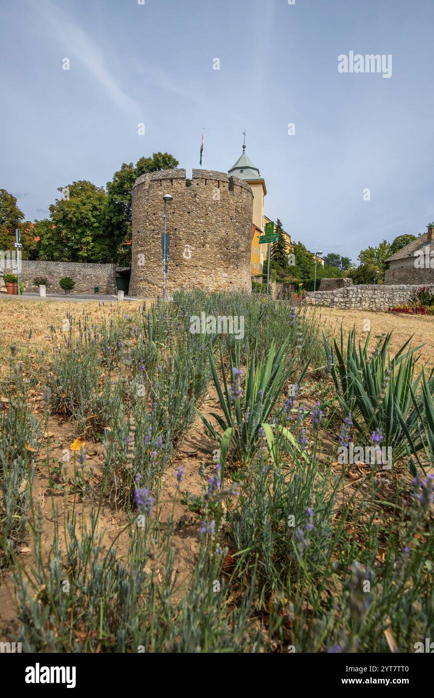 Old, beautifully decorated buildings in a historic old town. Picture ...