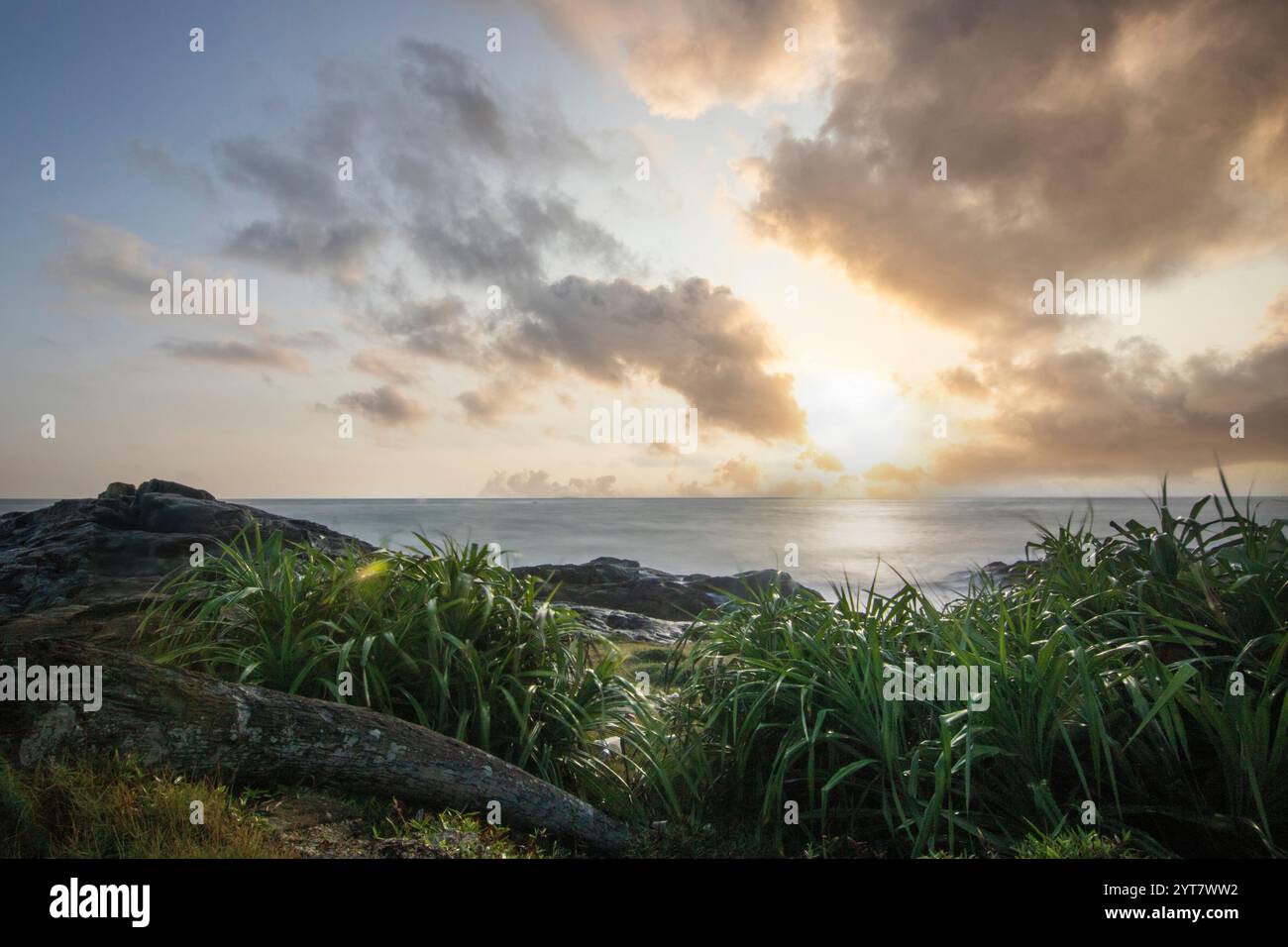 Beach with lava rocks and vegetation, view of the sea in the evening at ...