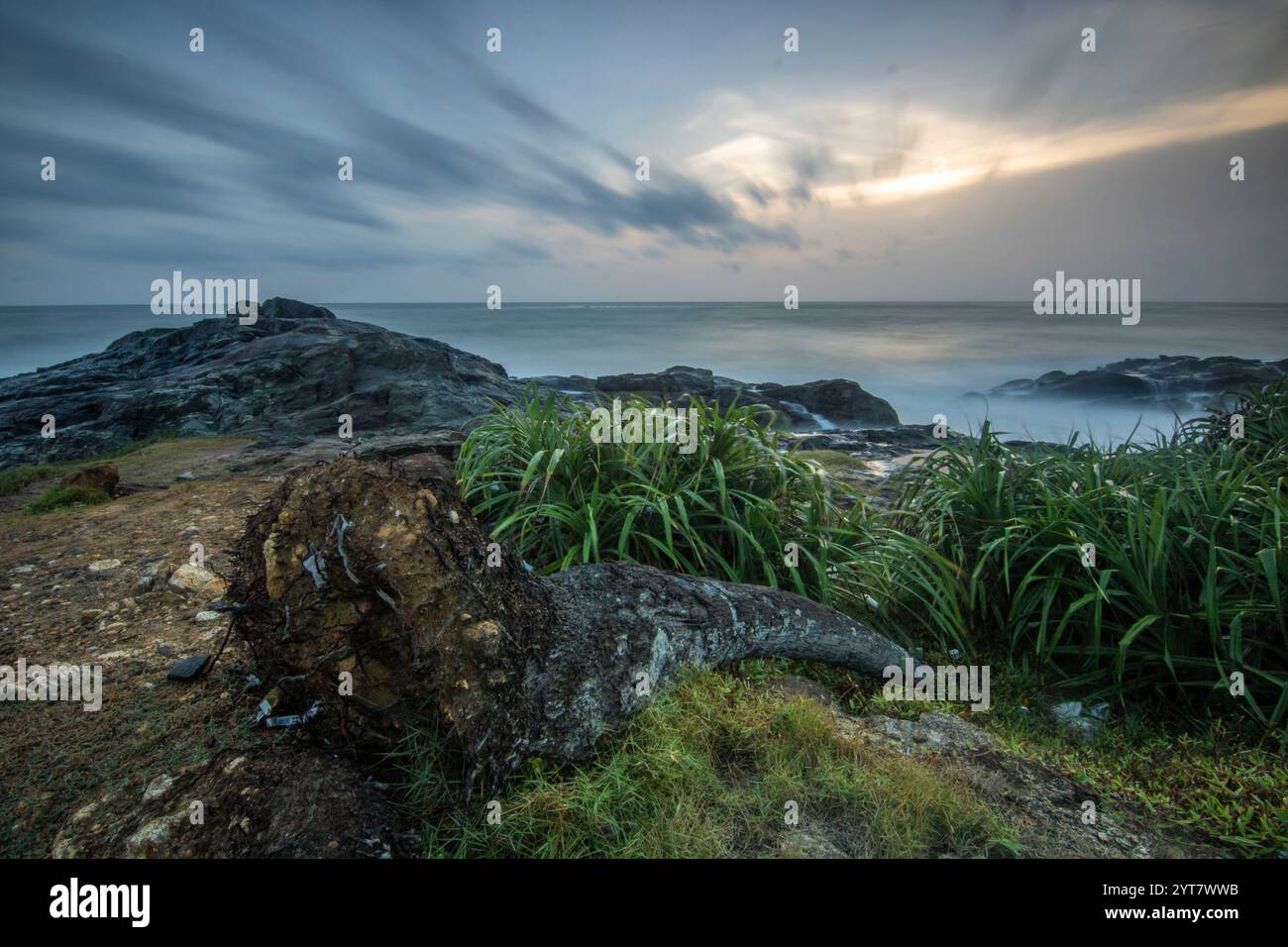 Beach with lava rocks and vegetation, view of the sea in the evening at ...