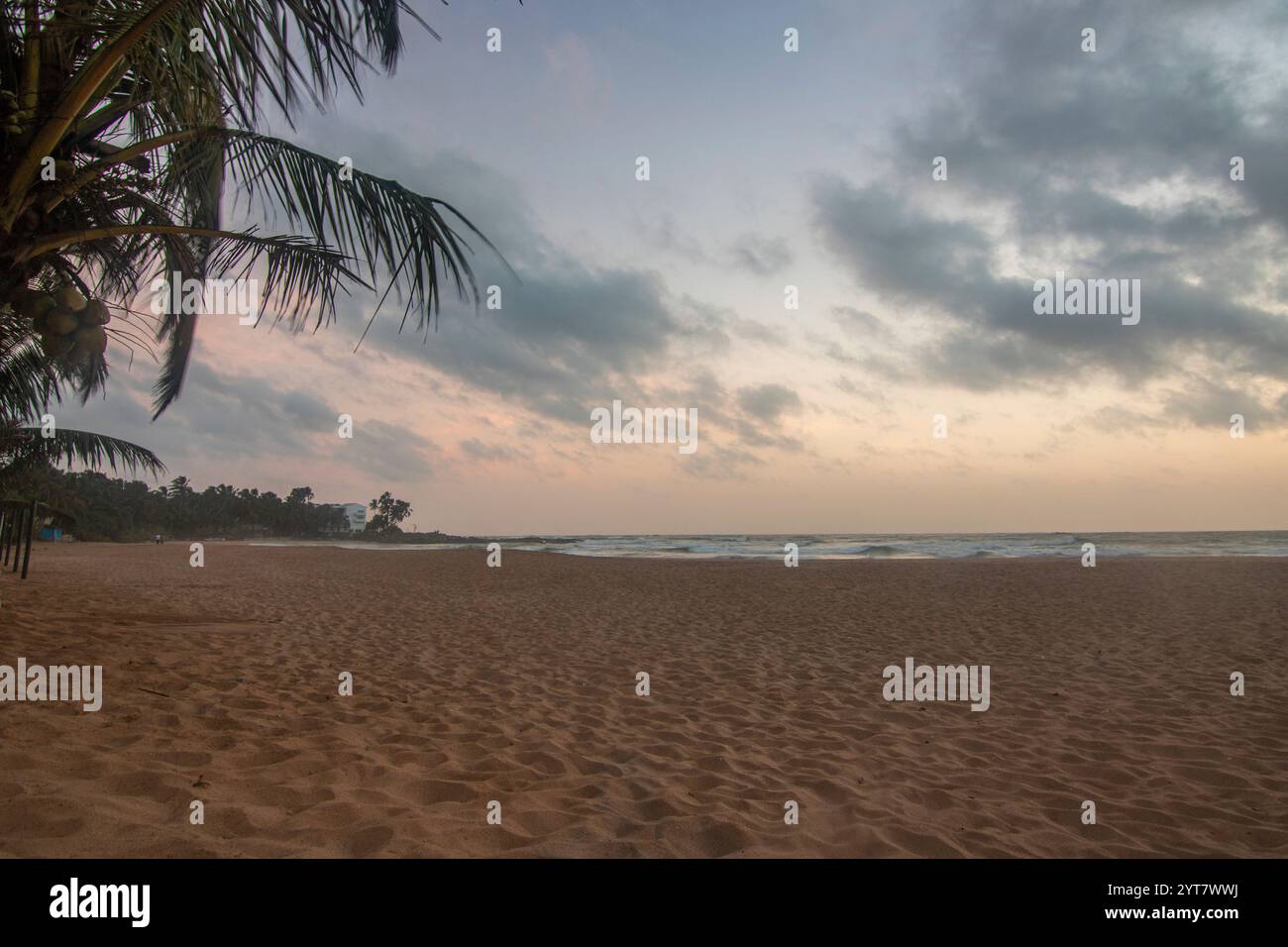Beach with lava rocks and vegetation, view of the sea in the evening at ...