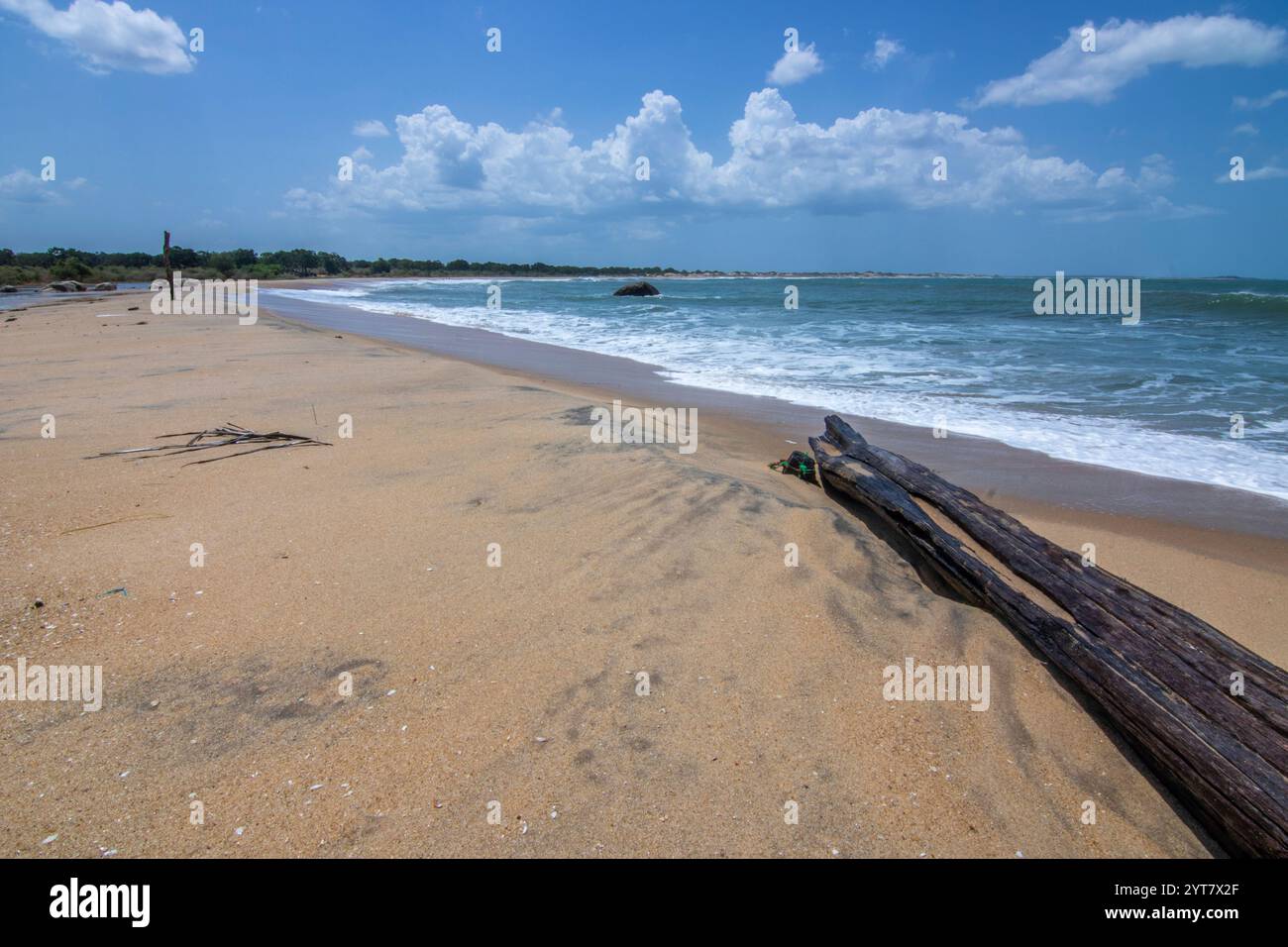 The oldest nature reserve in an amazing landscape. The sea and the ...