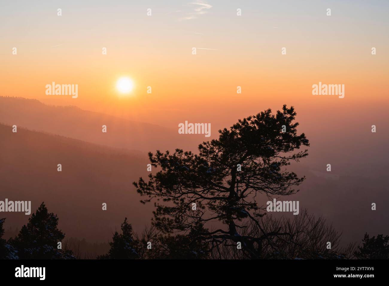 Sunset, Swabian Alb, eaves, fog, nature Stock Photo - Alamy