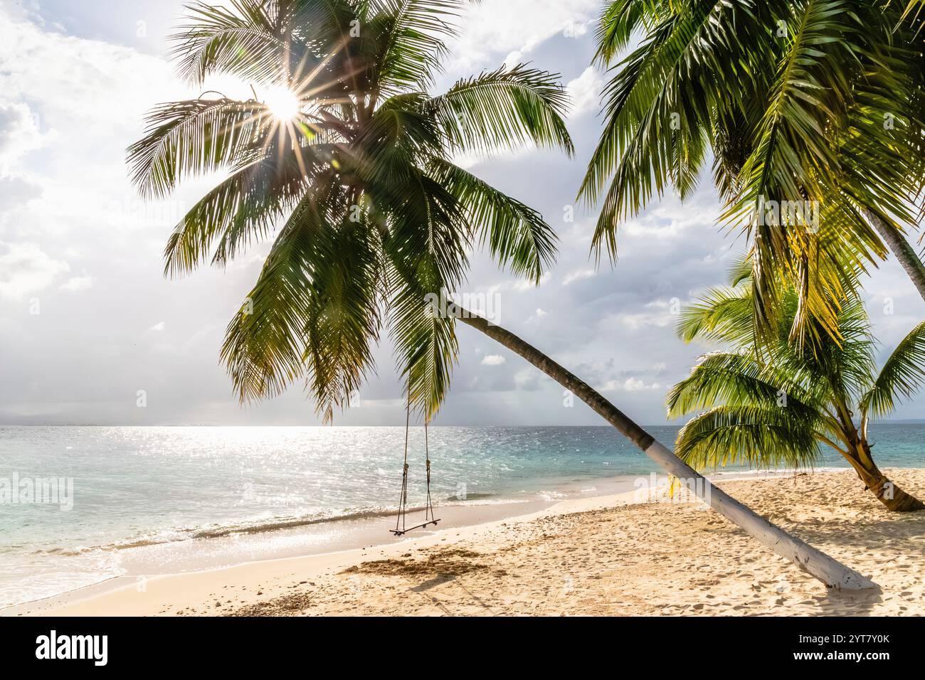 Palm tree with swing Stock Photo - Alamy