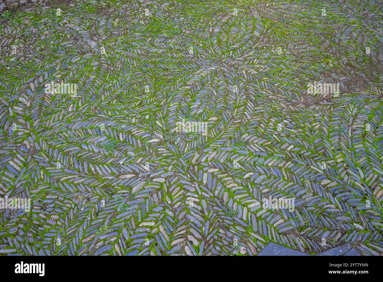traditional paving forming branches with leaves and flowers, Monastery ...