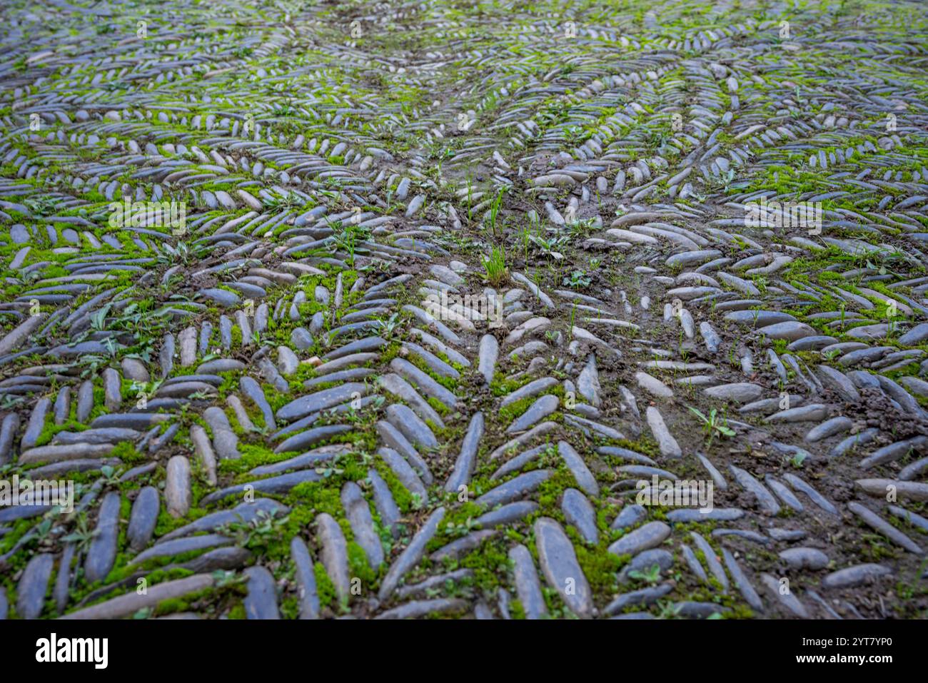 traditional paving forming branches with leaves and flowers, Monastery ...