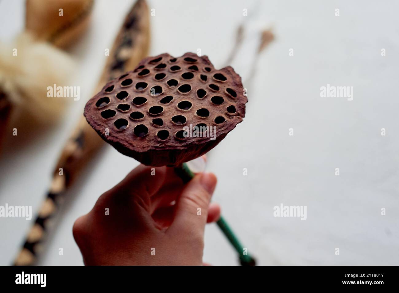 Shamanic objects hi-res stock photography and images - Alamy