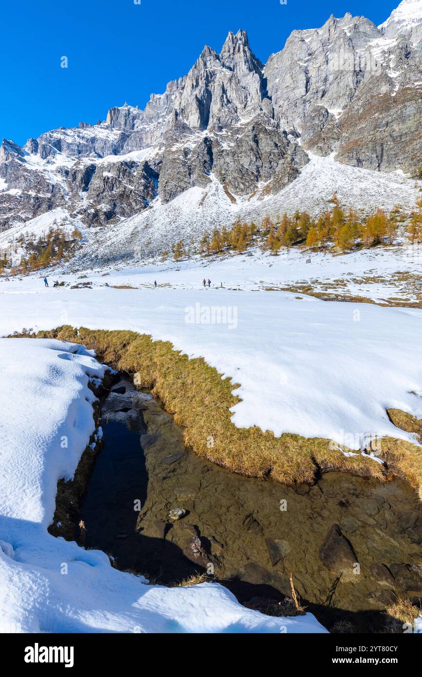 Bend on the river Buscagna, Alpe Devero, Valle Antigorio, Piedmont ...