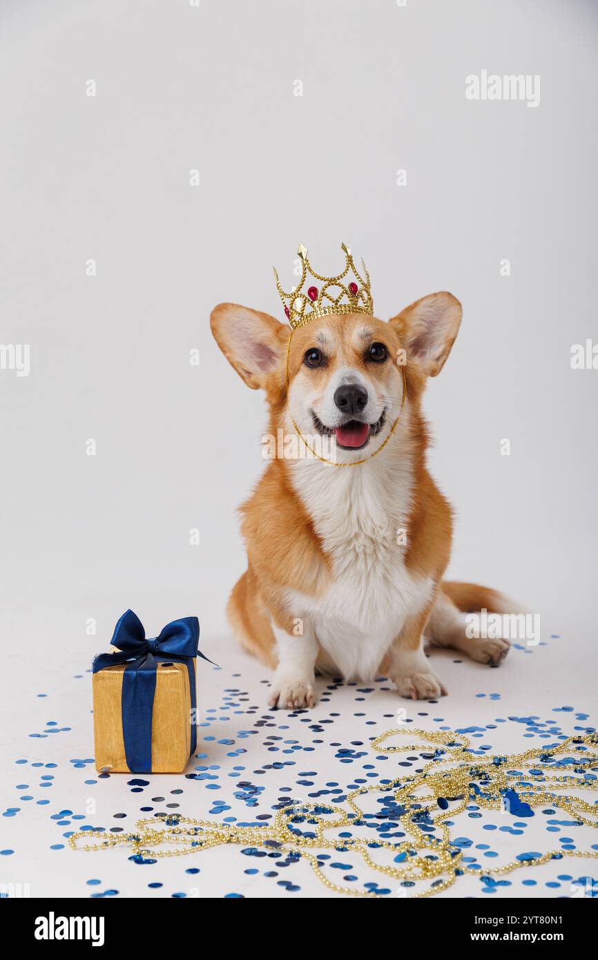Crownphoto hi-res stock photography and images - Alamy