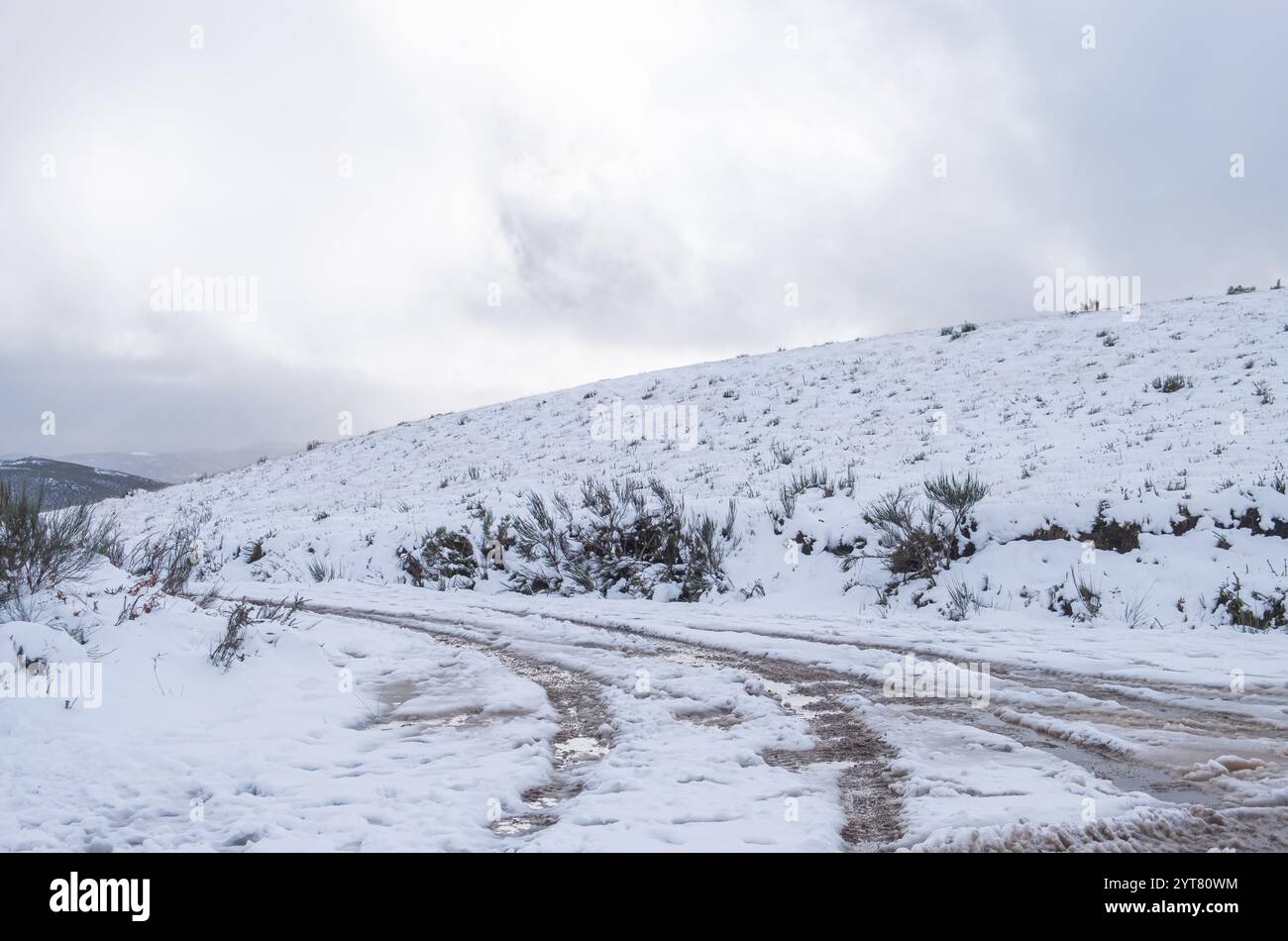 a mountain road on a winters day with tire tracks in the snow, wheel ...