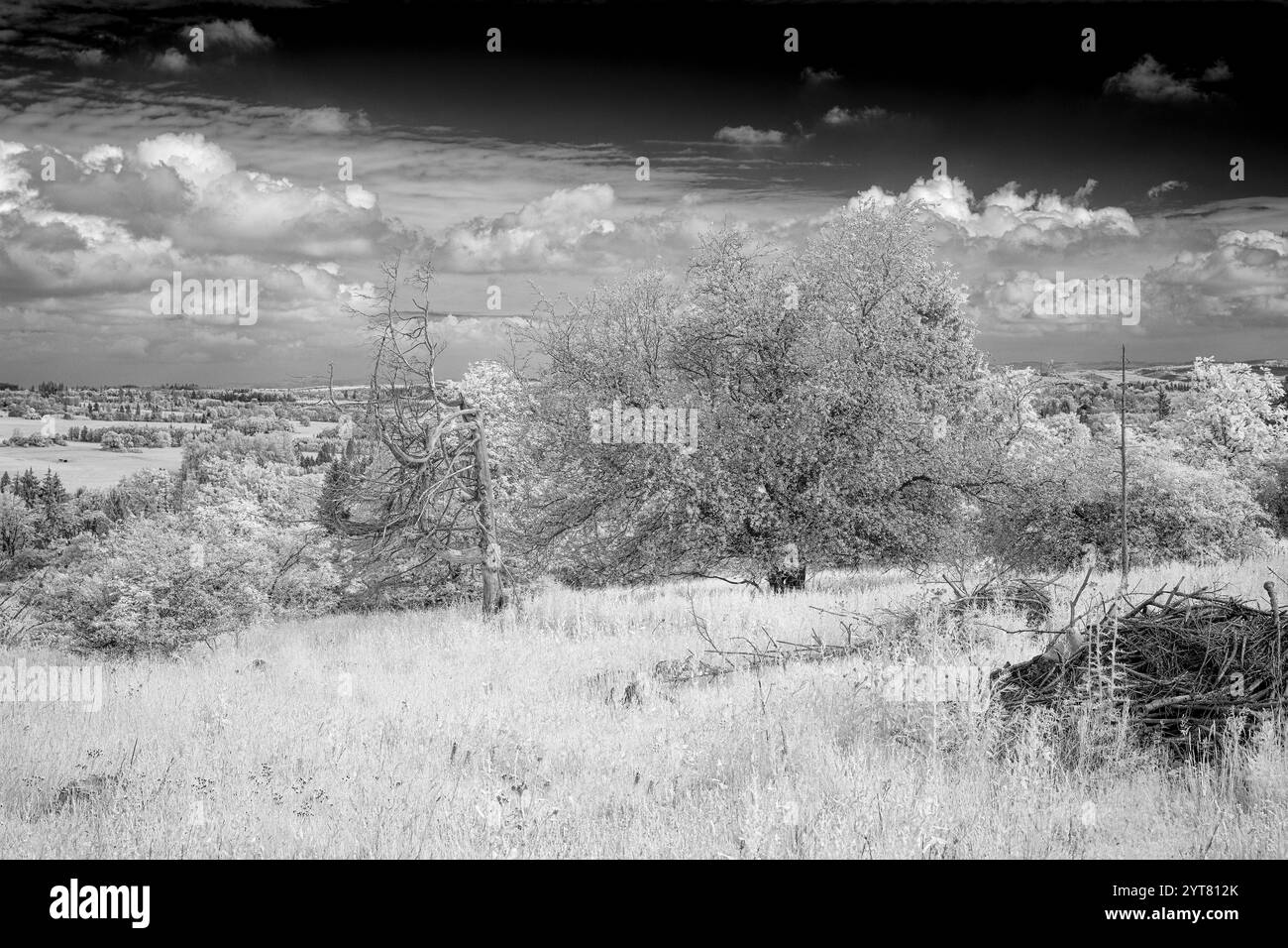 Europe, Germany, Hesse, Westerwald, Lahn-Dill region, View of ...