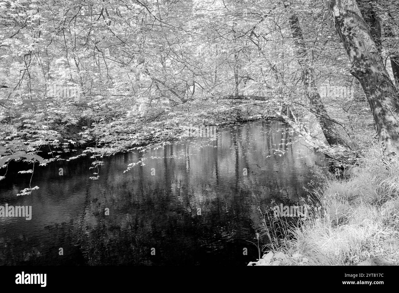 Nister Black and White Stock Photos & Images - Alamy