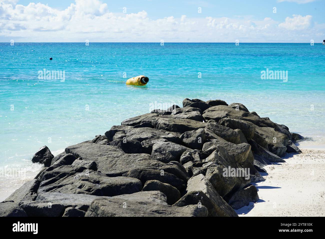 Indian ocean shells hi-res stock photography and images - Alamy