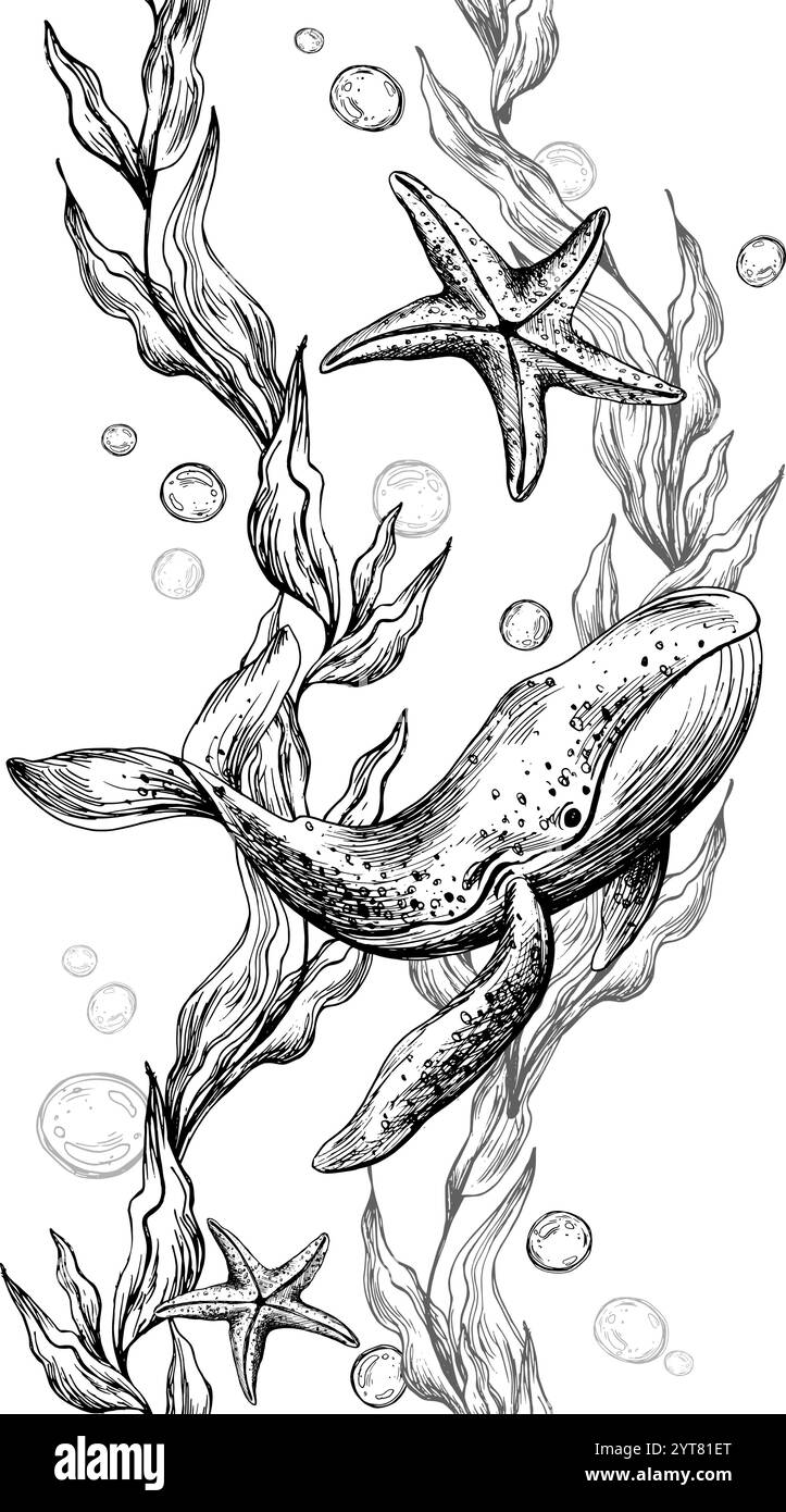 Blue whale coloring Stock Vector Images - Alamy