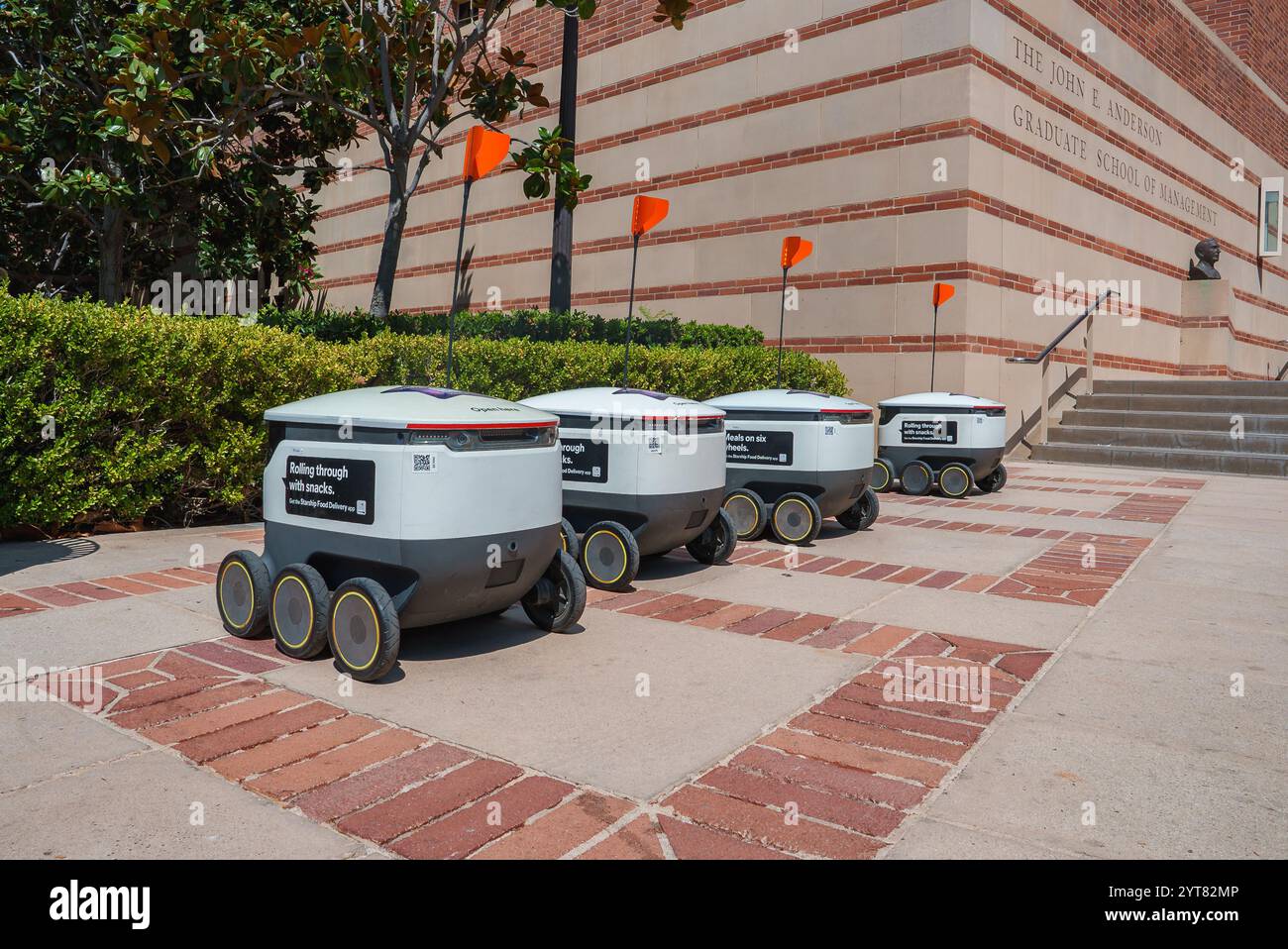 A row of six wheeled delivery robots with orange flags in front of UCLA ...